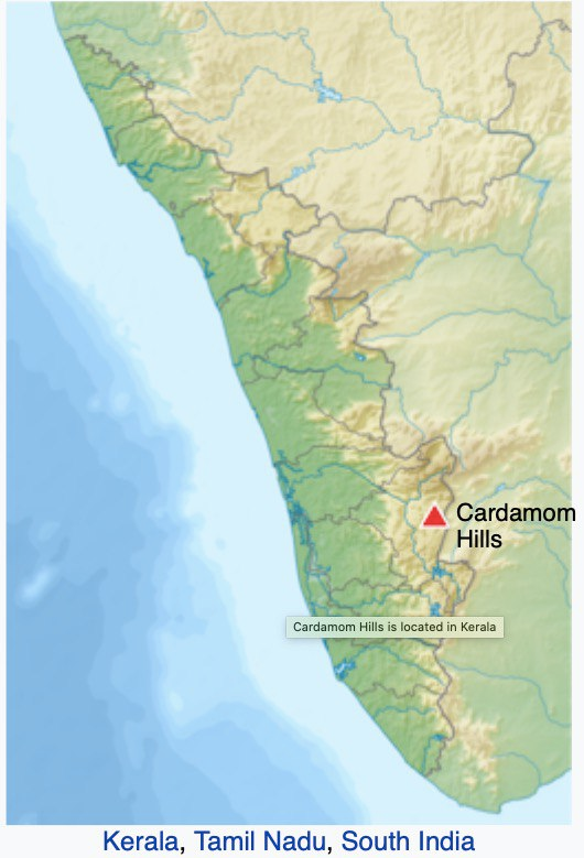 Kerala Cardamom Hills