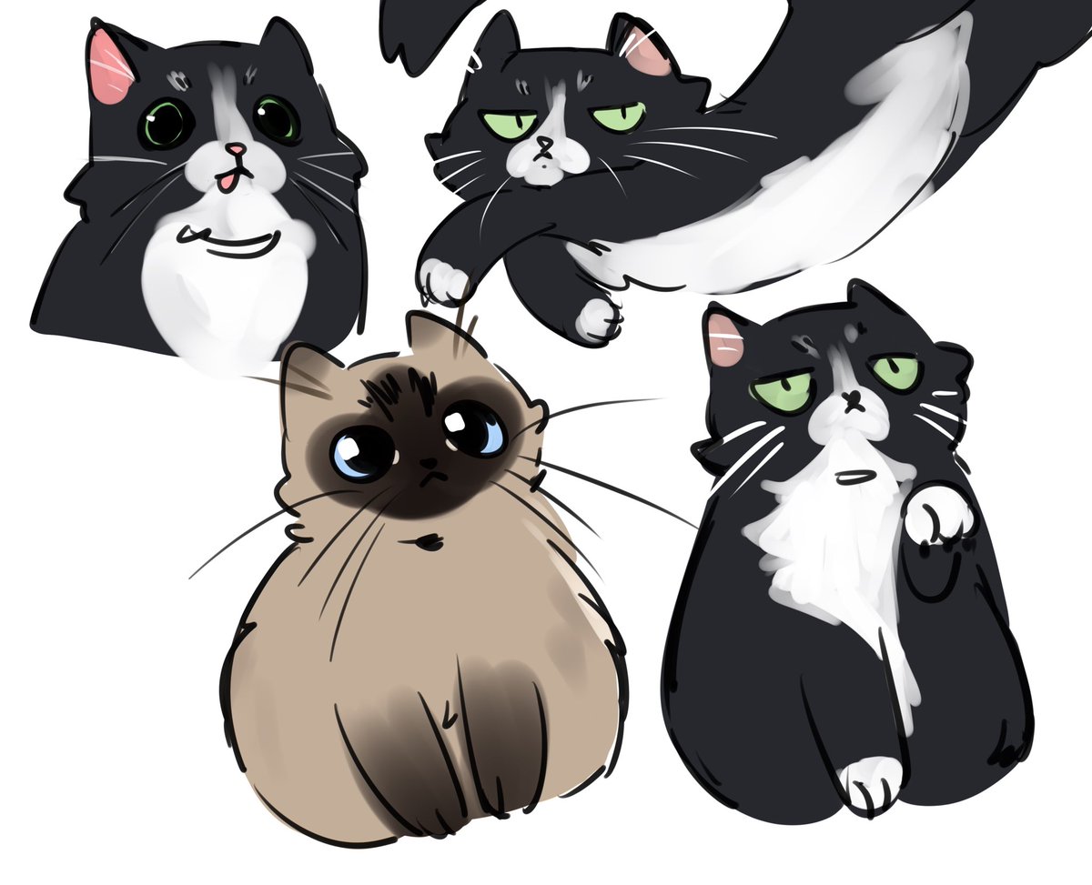 「Meow meow」|Ann 杏寧 🦇 ENVTuber | Rebebut April 11thのイラスト