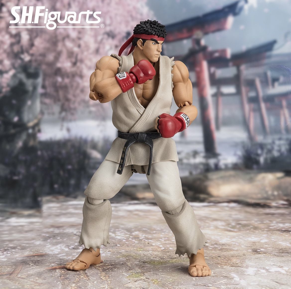 Ryu Street Fighter 4 Face