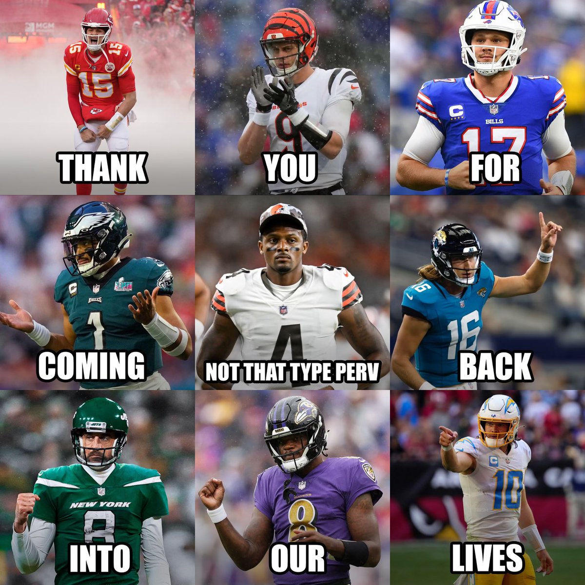 Buccaneers Memes
