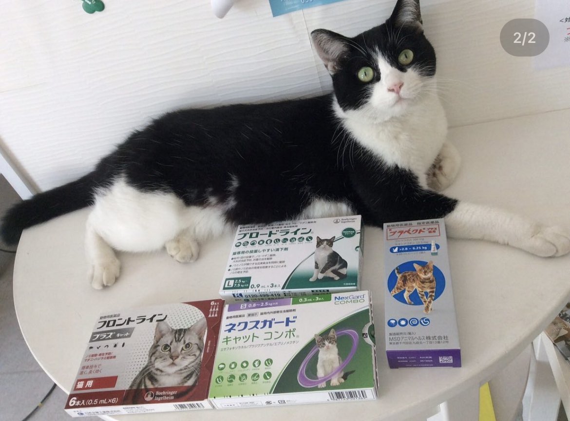 Eisuke oooka / 大岡英介(@eisukeoooka) - Twilog