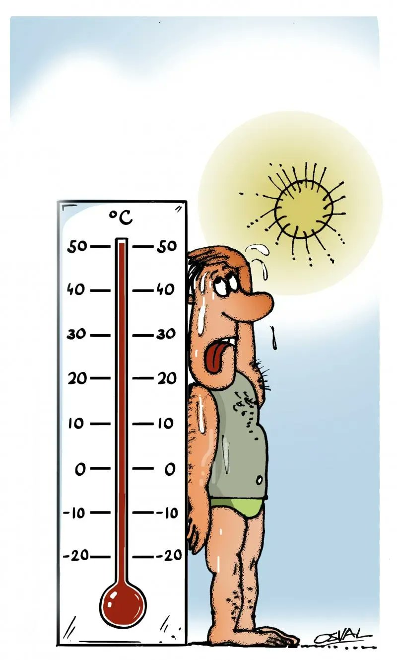 Summer Heat Cartoons
