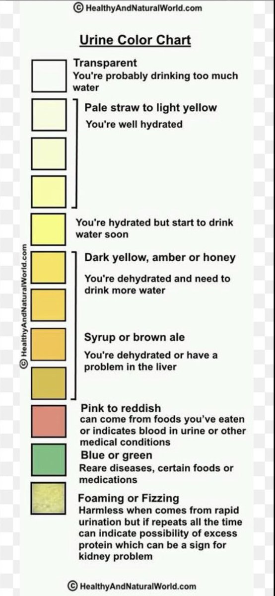 Yellow urine ≠ Malaria. Yellow urine ≠ Typhoid. Yellow urine ≠ You need ...