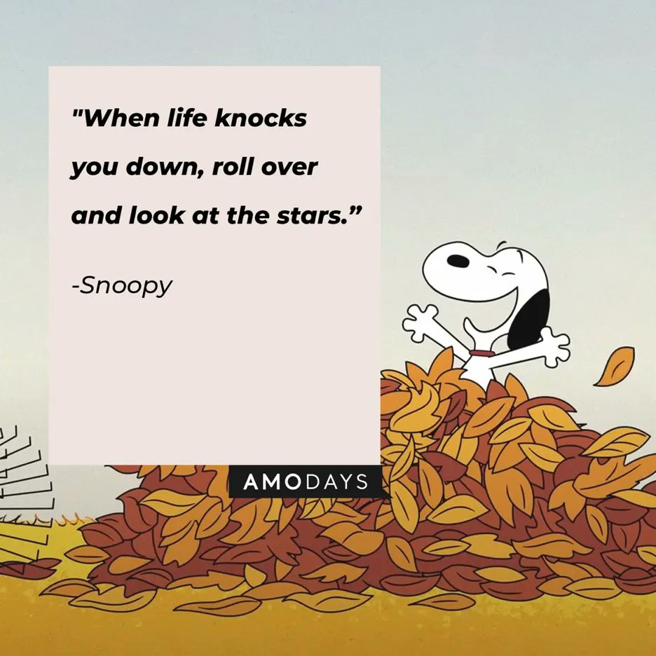Peanuts Sayings Quotes Peanuts Guide To Life ,Charles M. Schulz