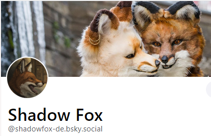 Shadow Fox Animal
