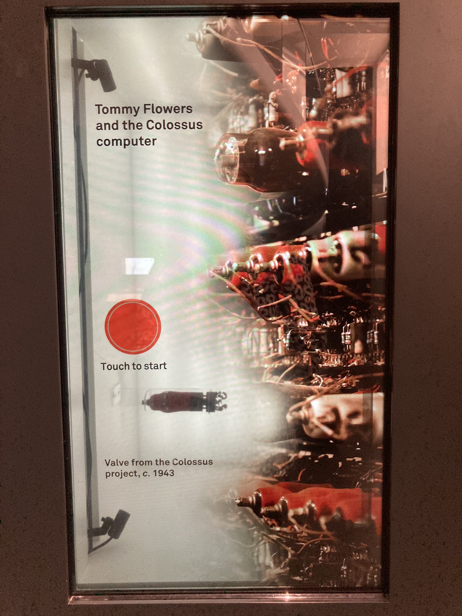 Tommy Flowers Quotes Tommy Law The Republic News