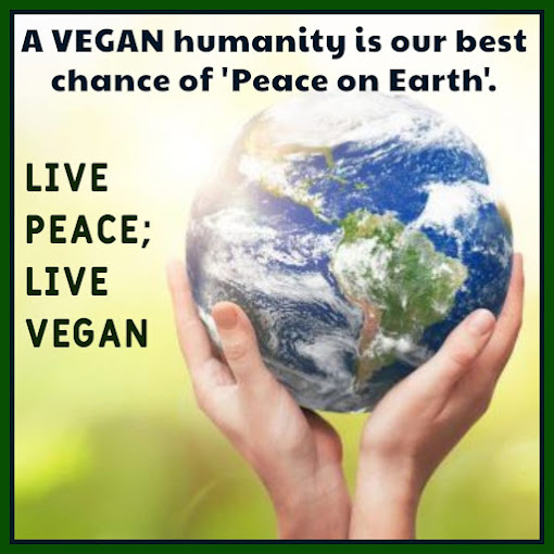 Humanity Peace Globe