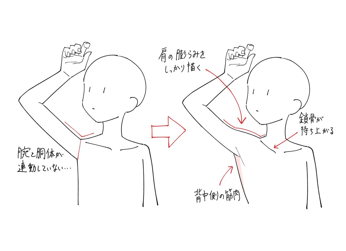 「腕を上げるポーズを描くときのポイントメモです。 」ふるいけの漫画
