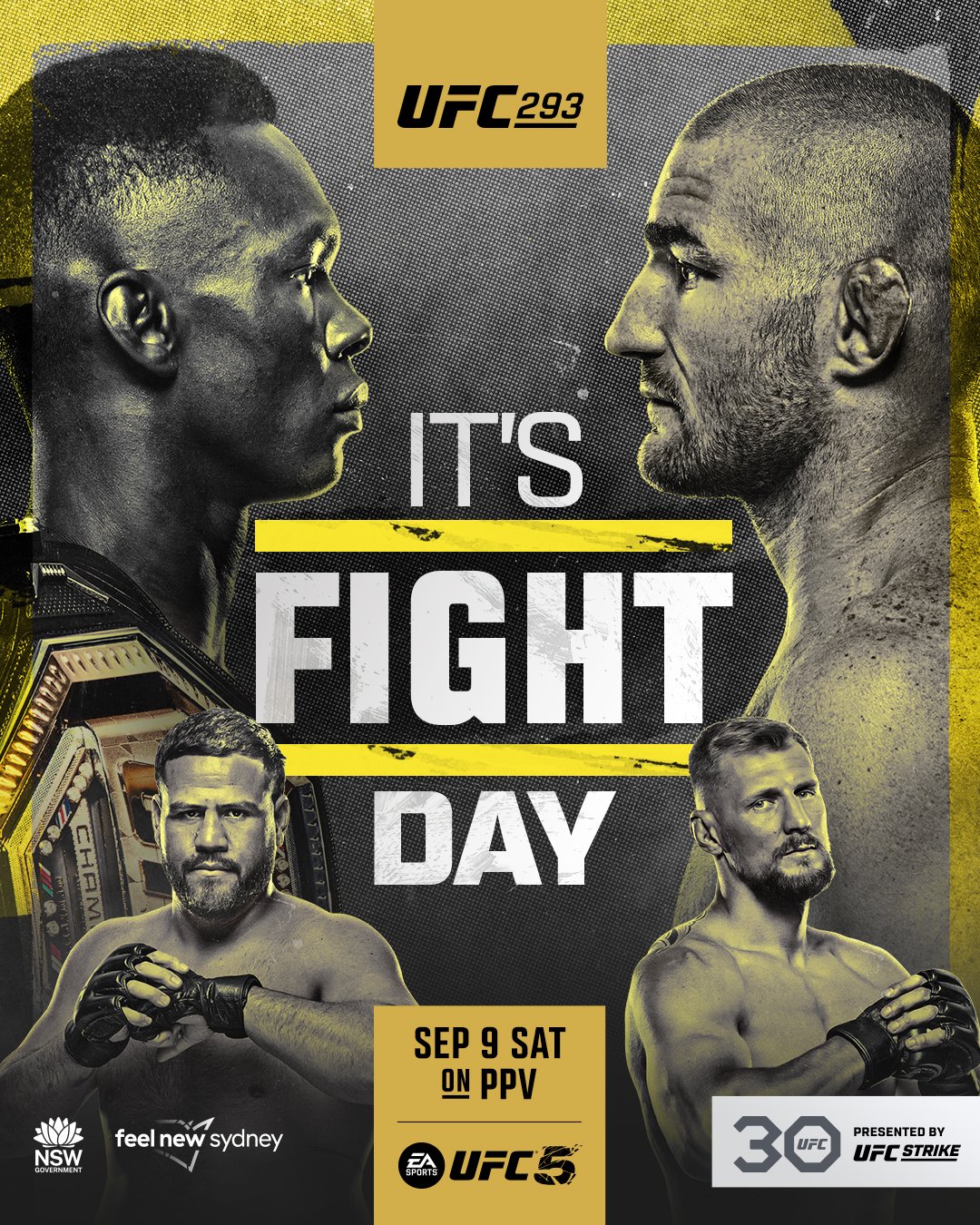 Ufc 175 Poster