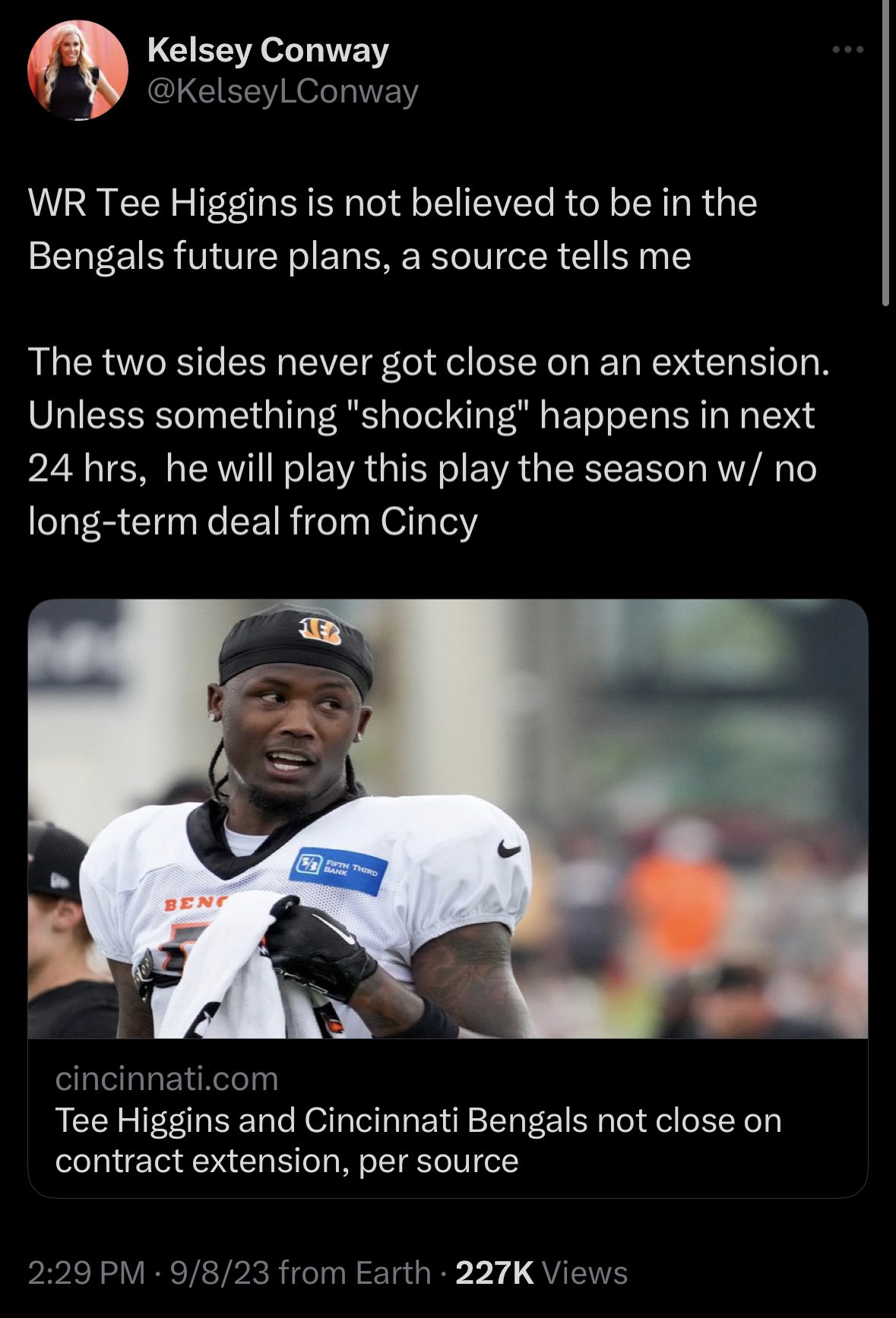 Anti Bengals Memes Cincinnati Bengals NFL Christmas Grinch I Hate