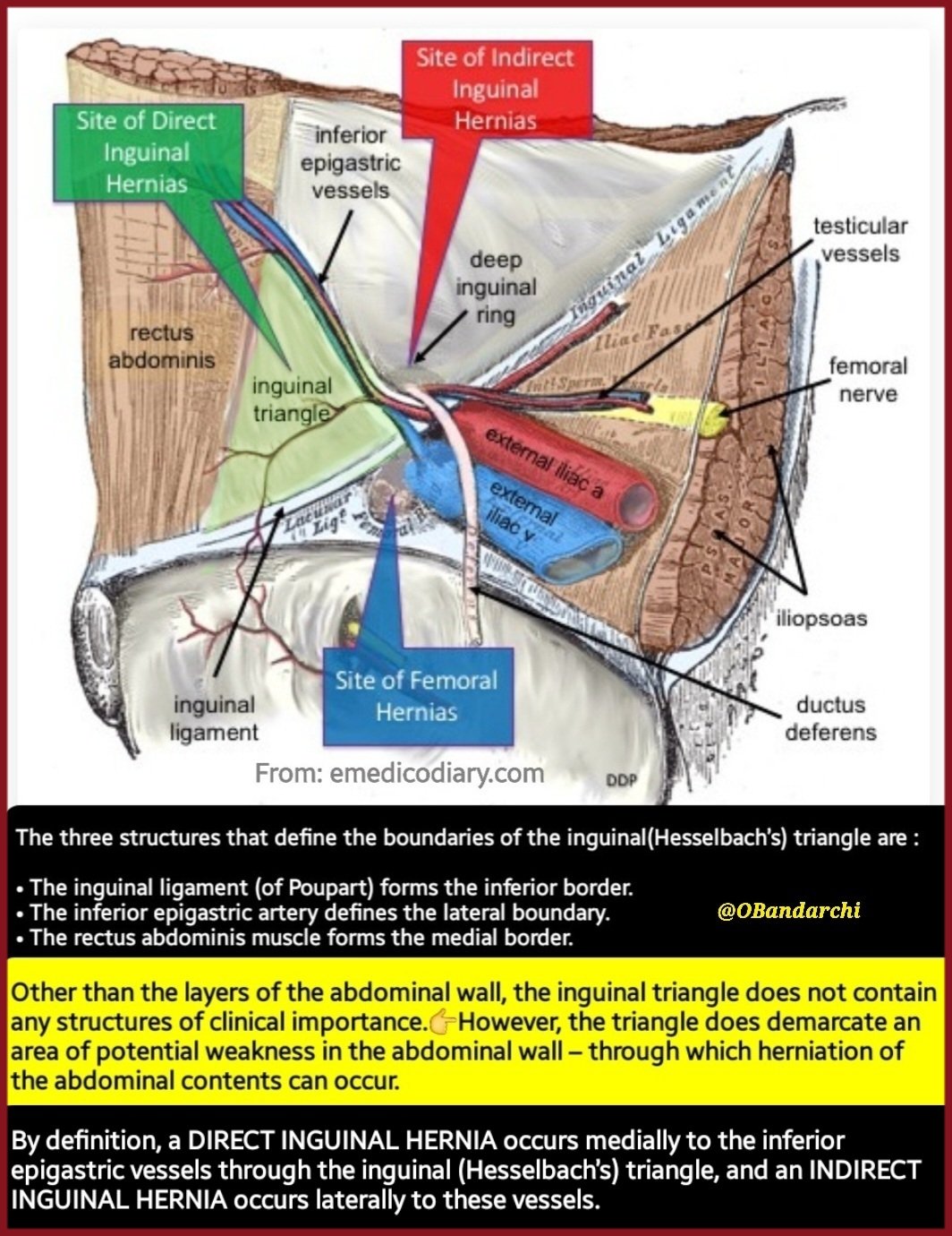 Inguinal Triangle Definition Inguinal Canal