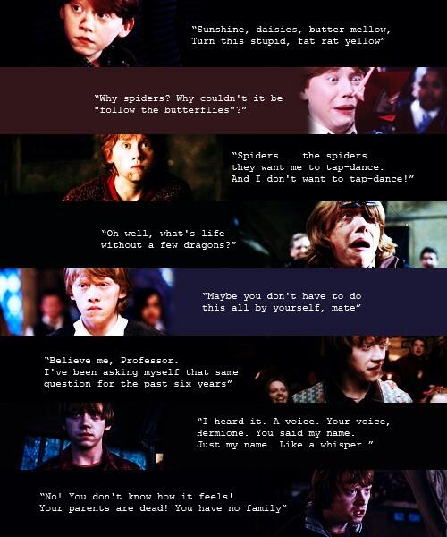 Ron Weasley Quotes Spiders