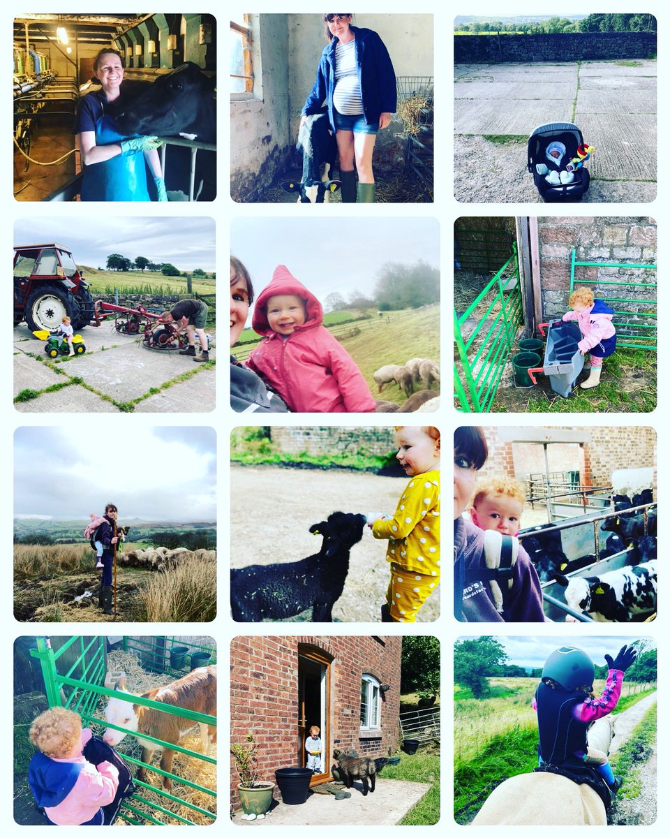Homepage - Bernard's Farm