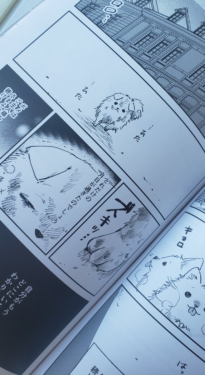 2/2)」ミト🐻C107水曜め25abの漫画