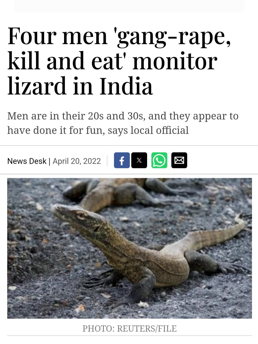 Monitor Lizard Memes