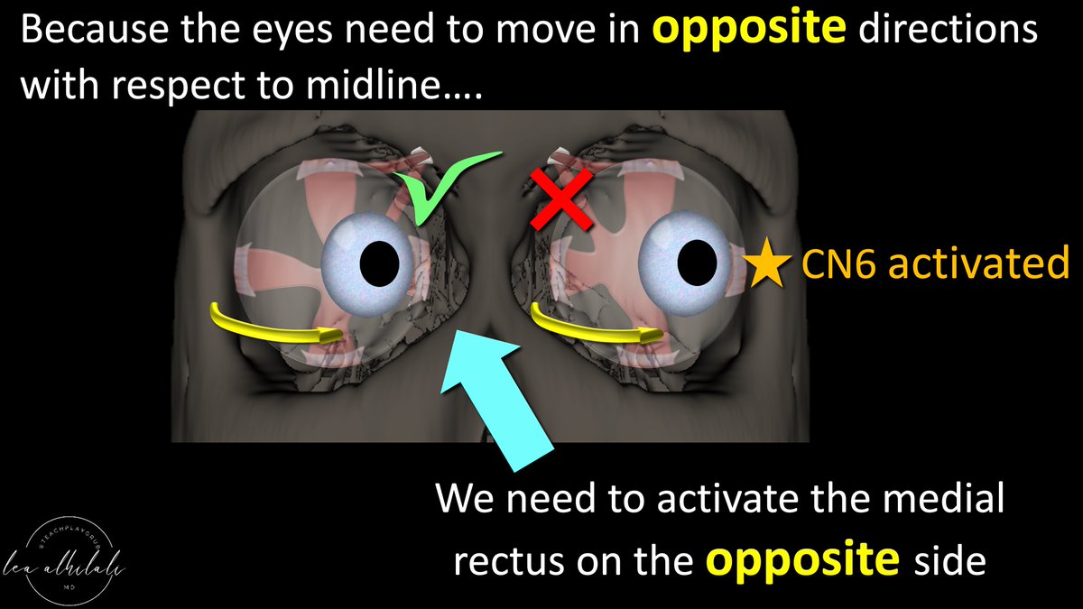 1/Is trying to understand diplopia making you crossed-eyed?! When a ...