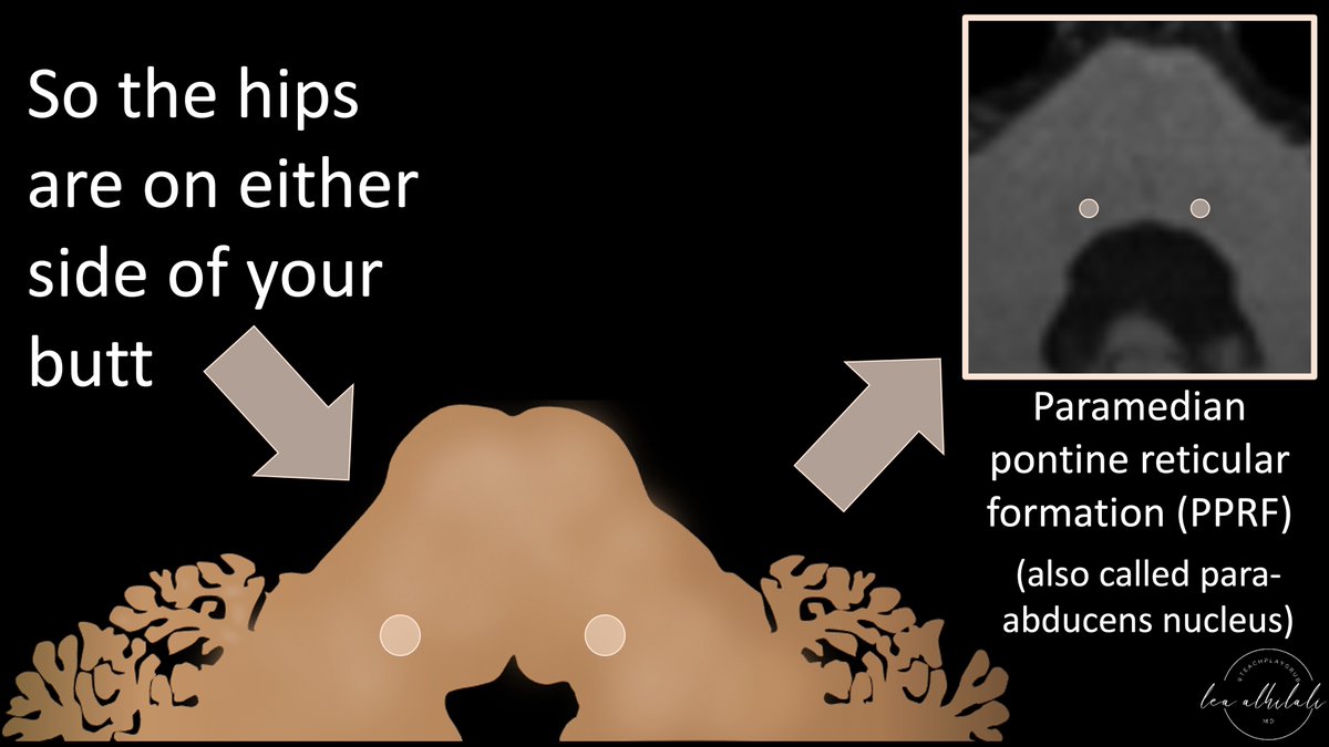 1/Is trying to understand diplopia making you crossed-eyed?! When a ...