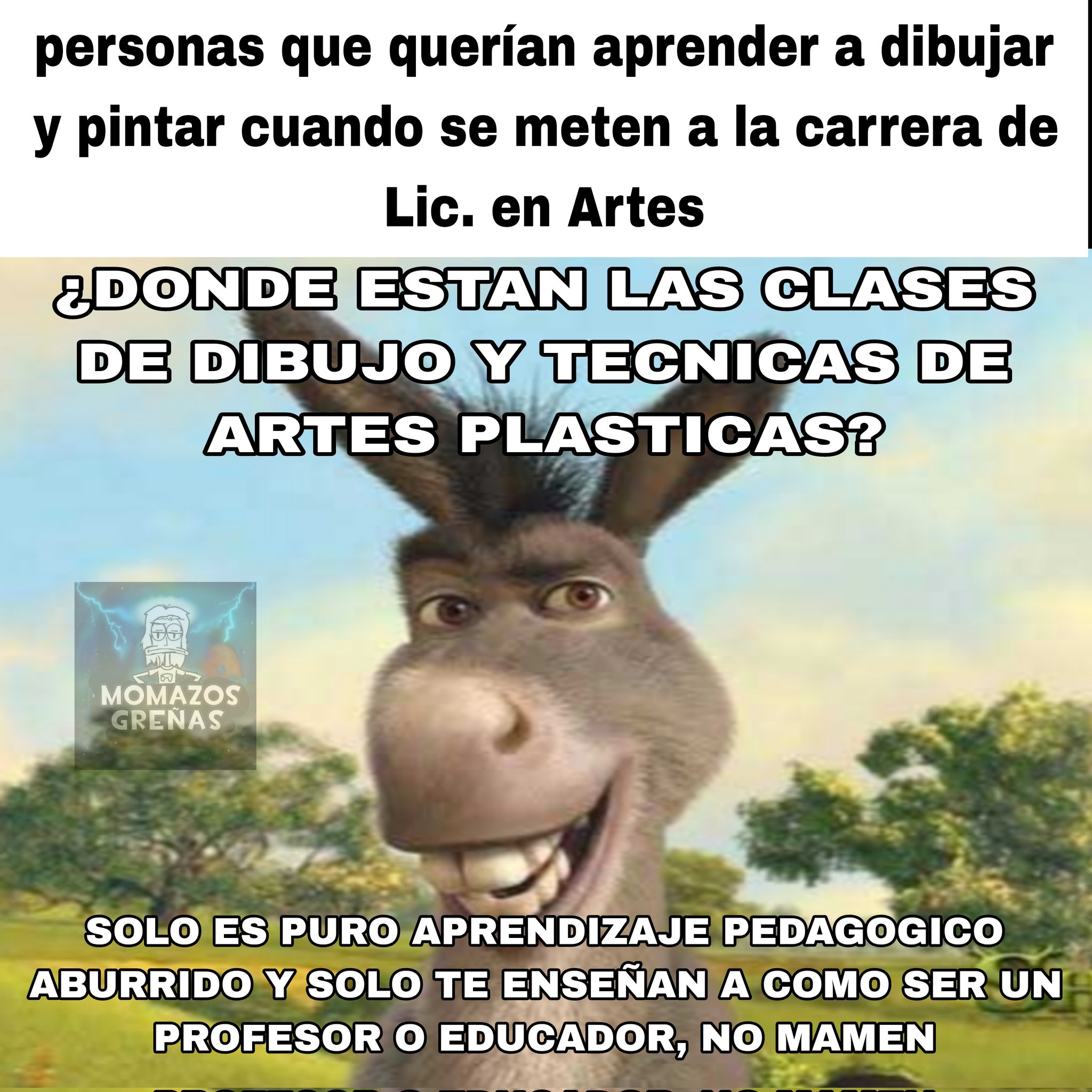 Memes Para Un Burro