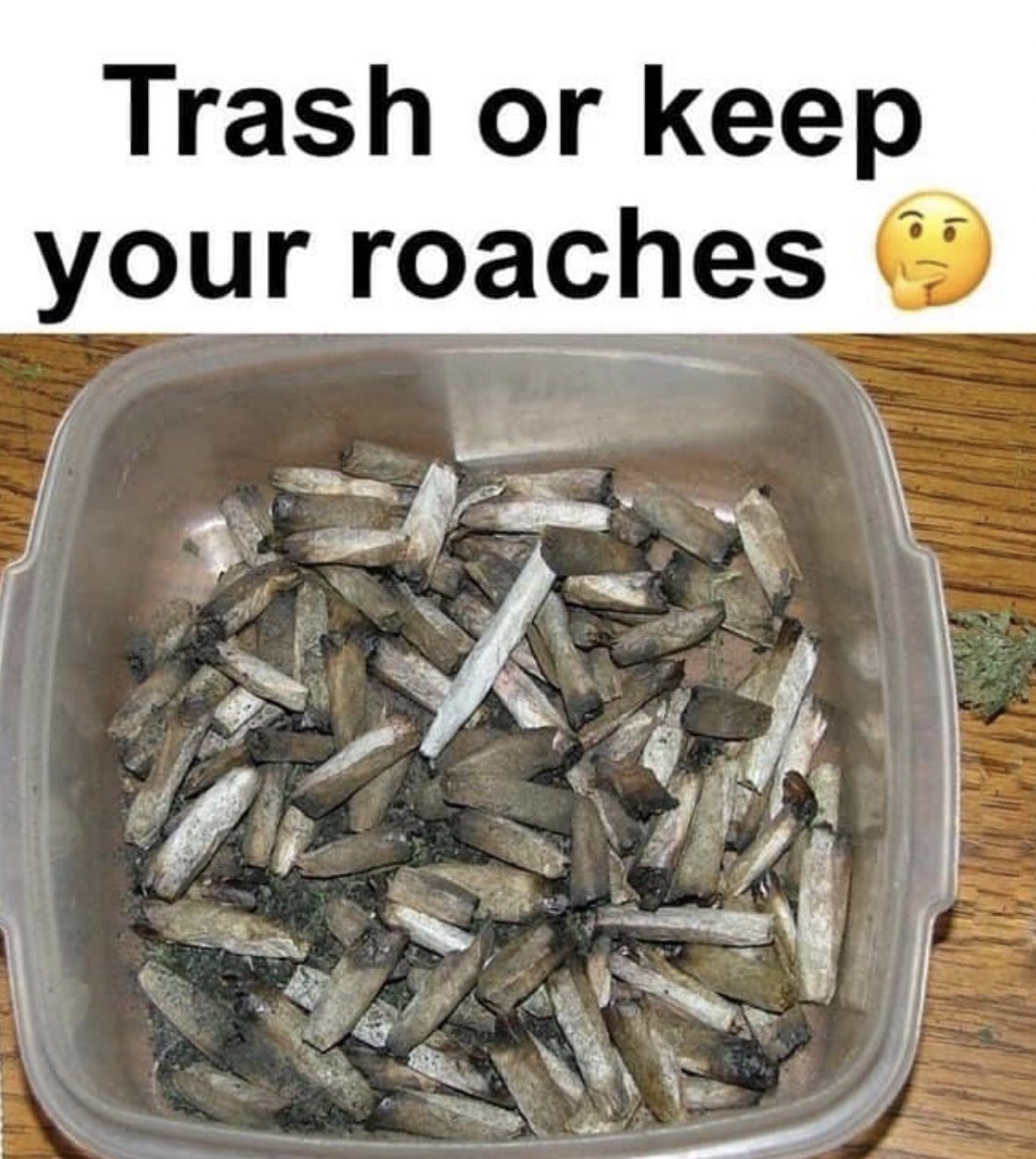 Weed Roach Quotes