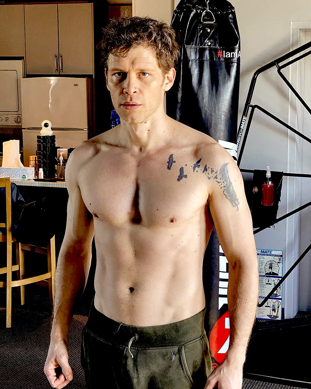 Joseph Morgan Tattoo Download Free Png Birds Of A Feather Png Image