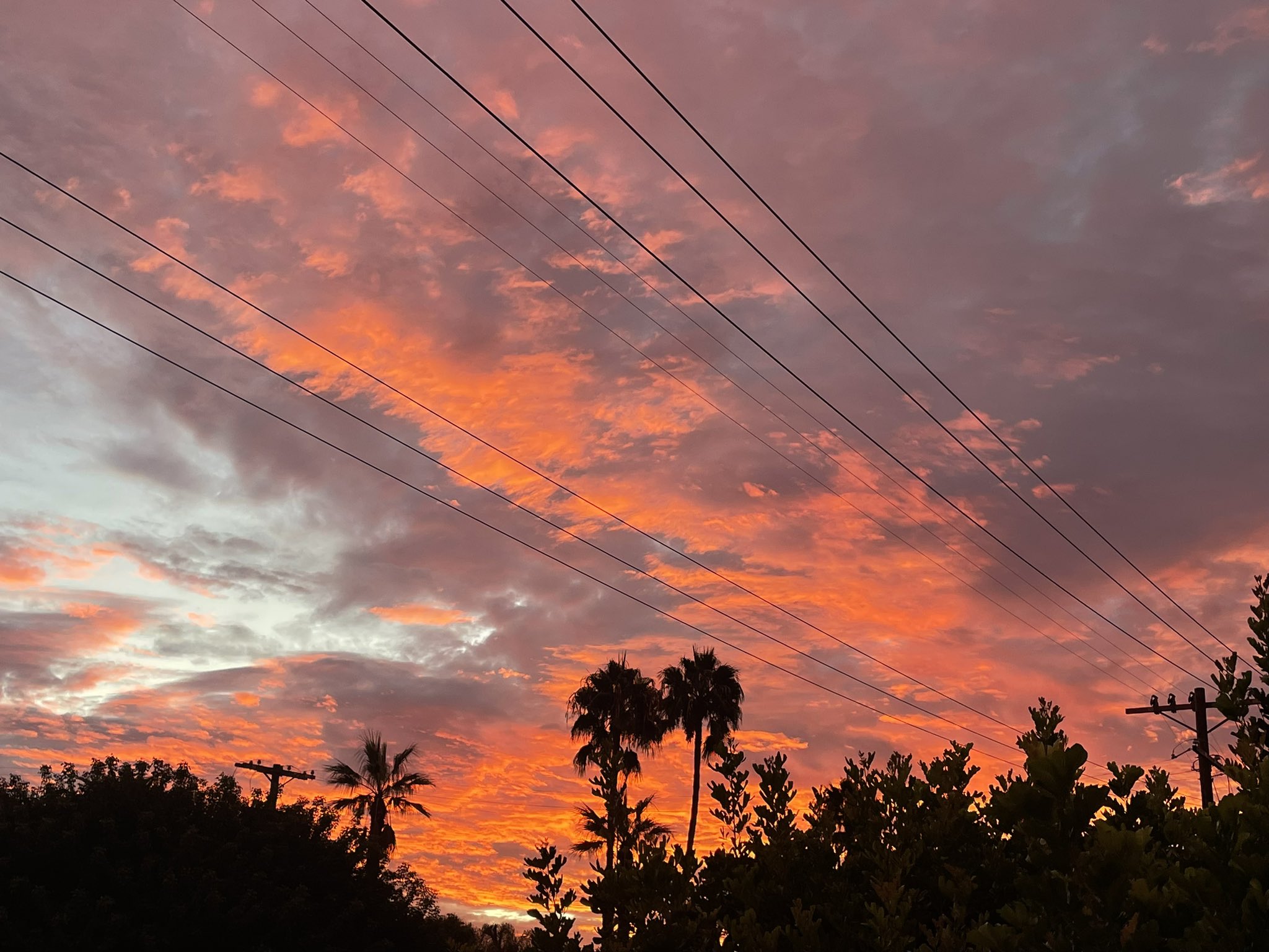 Sunset Tumblr Background