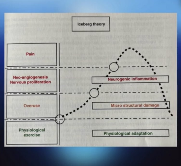 30 Tendon Concepts - Thread from Jake Tuura @jake_tuura - Rattibha