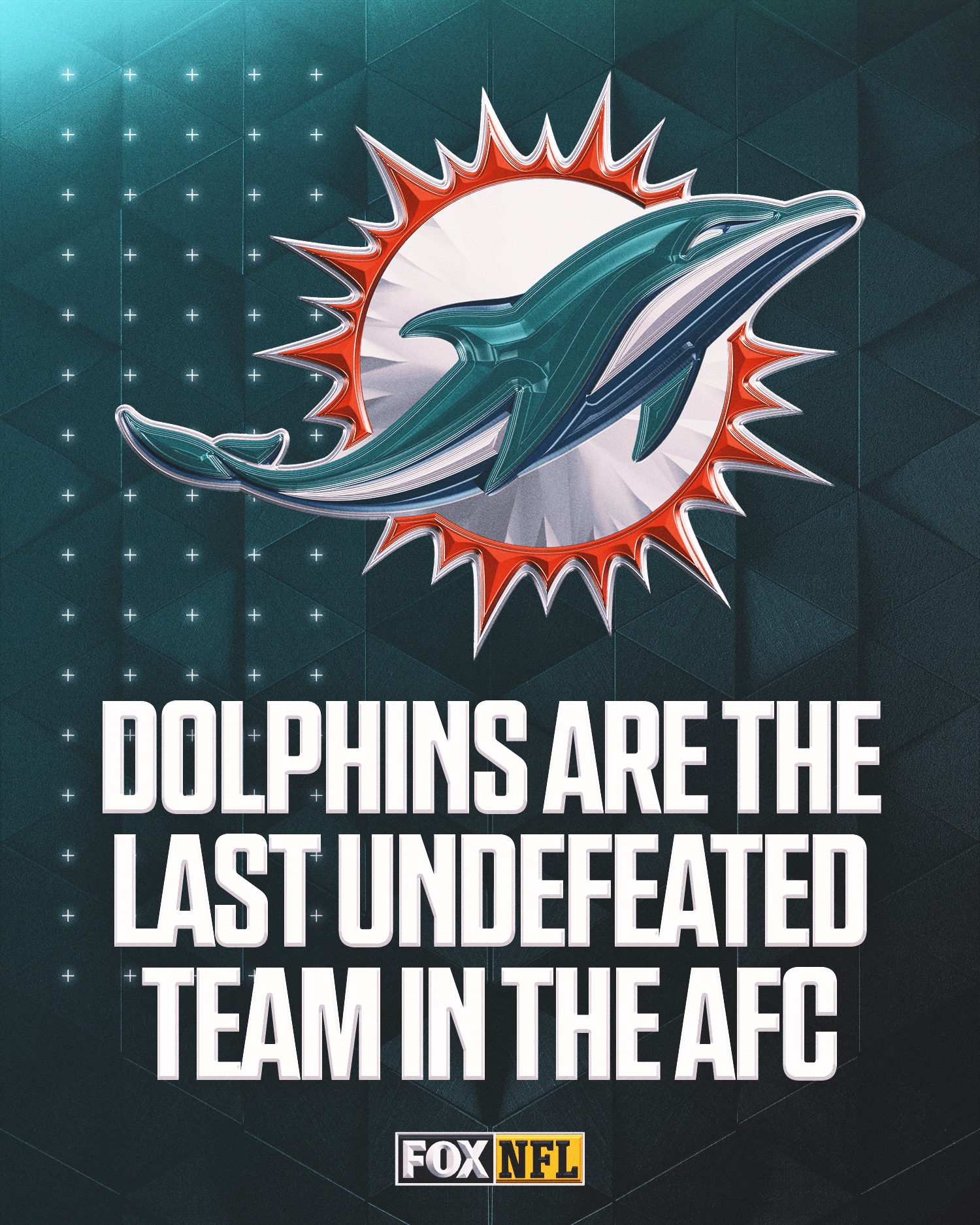 Undefeated Dolphins Memes Miami Dolphins GIFs | Tenor