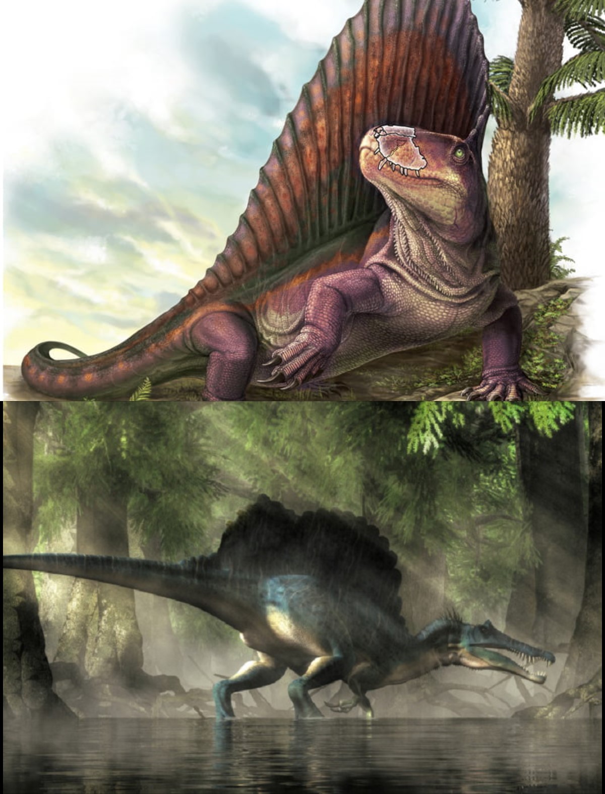 Spinosaurus Vs Godzilla