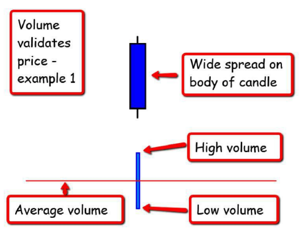 A Beginner's Guide to Volume 🧵⬇️ - Thread from ThiccTeddy @ThiccTeddy ...