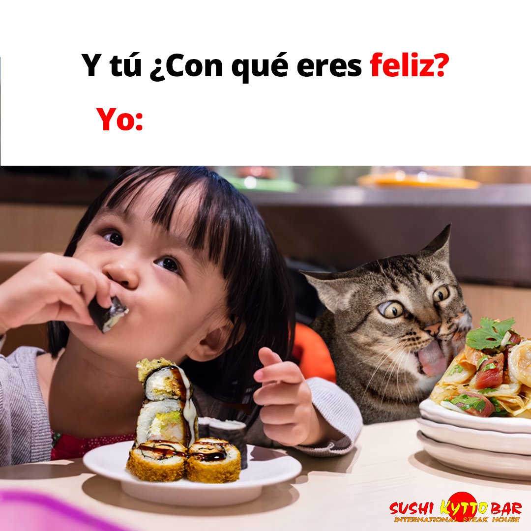 Gato Sushi Meme