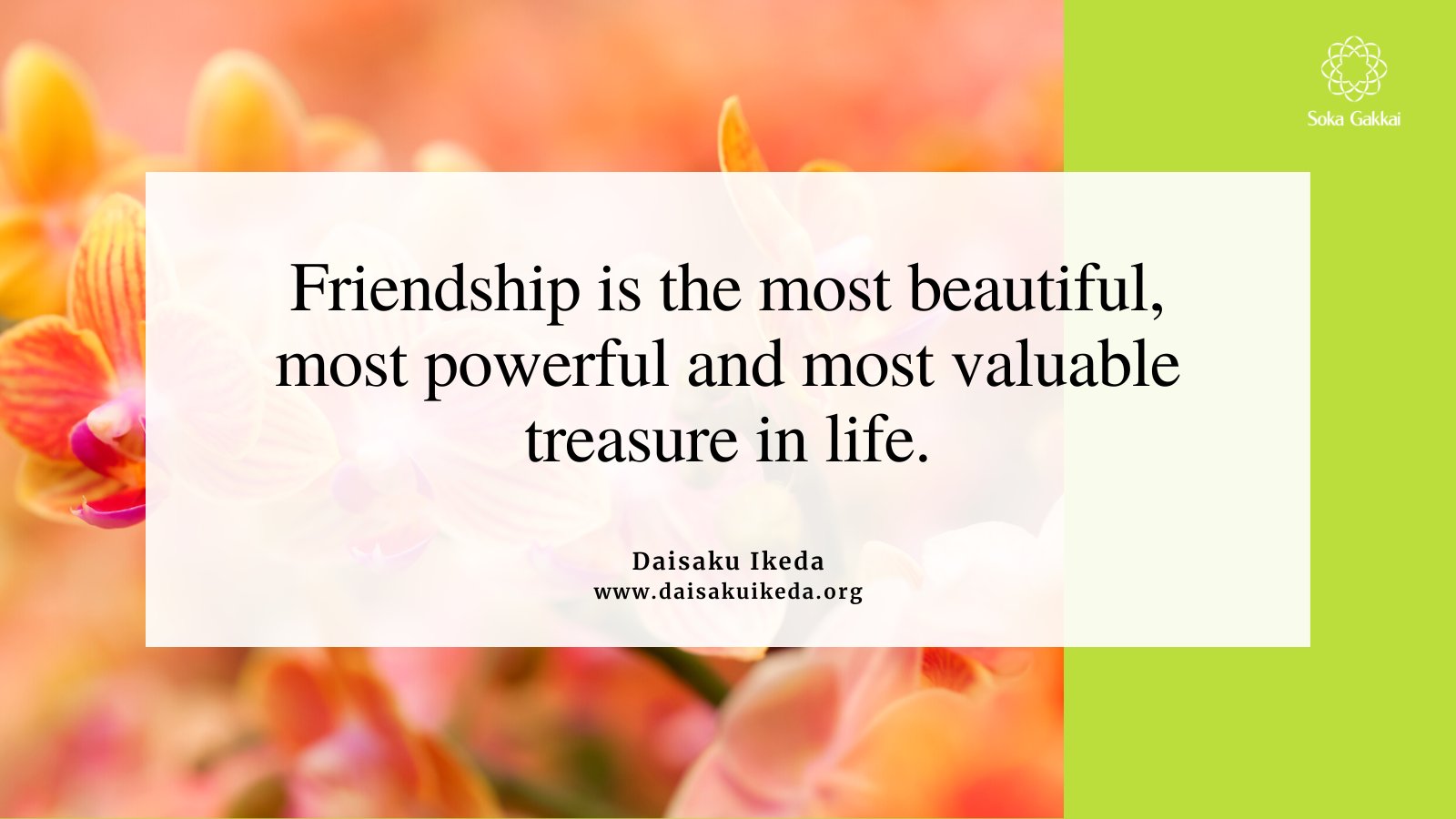 Most Beautiful Friendship Pictures