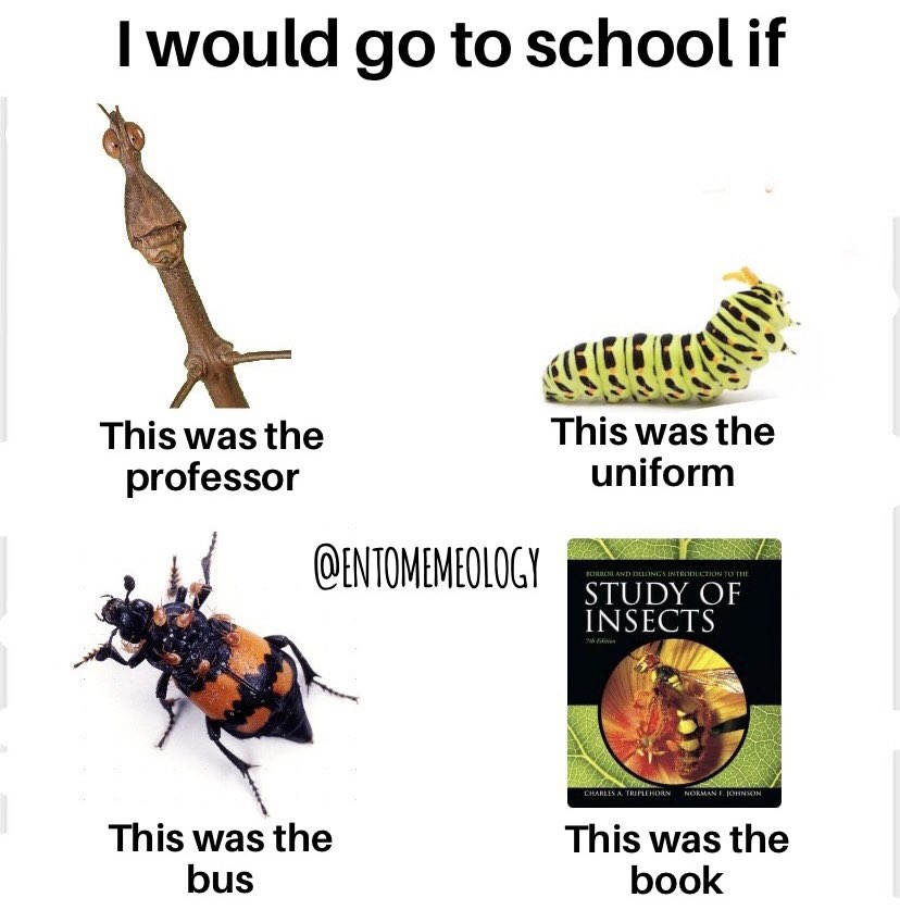 Entomology Memes