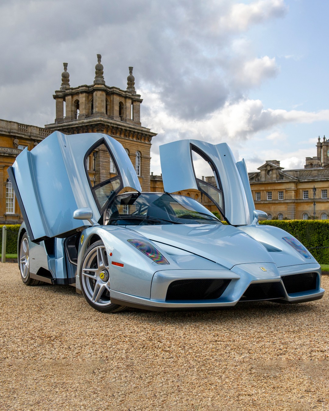 Powder Blue Ferrari Enzo Zehobby: ~ Hotwheels Ferrari Enzo (Blue)