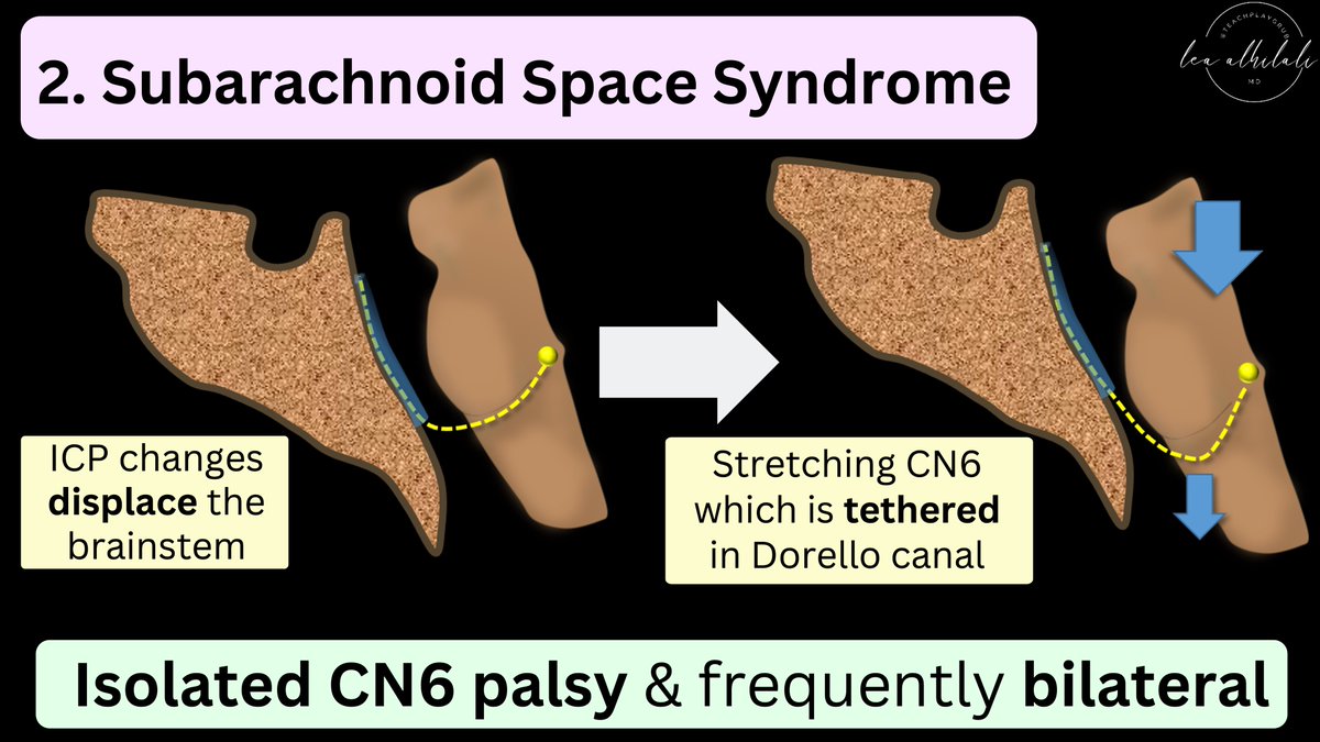 1/It’s rare a patient can tell exactly you where their pathology is—but ...