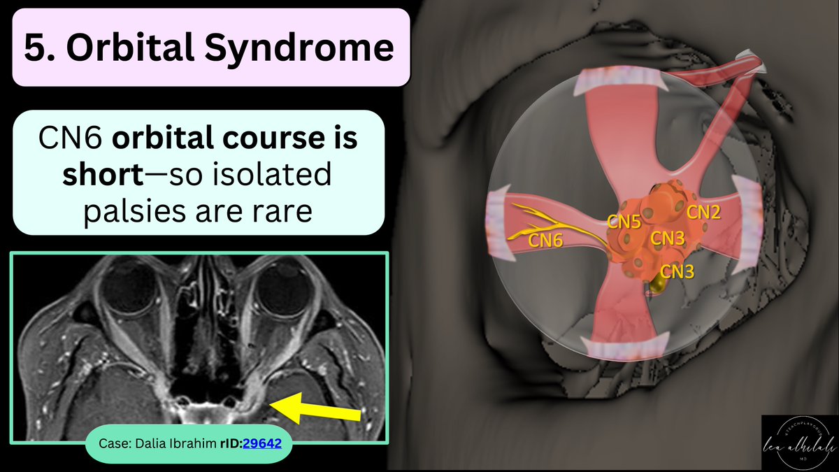 1/It’s rare a patient can tell exactly you where their pathology is—but ...