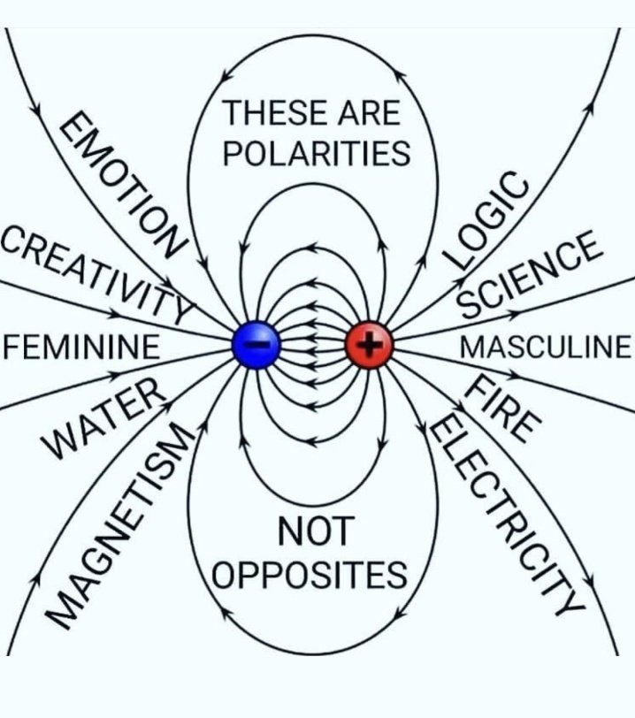 Adam & Eve: RED BLOOD & BLUE🧵 The Bible says Jehovah took a RIB from ...