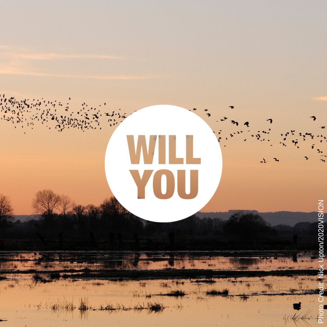 Anywhere I Would Have Followed You