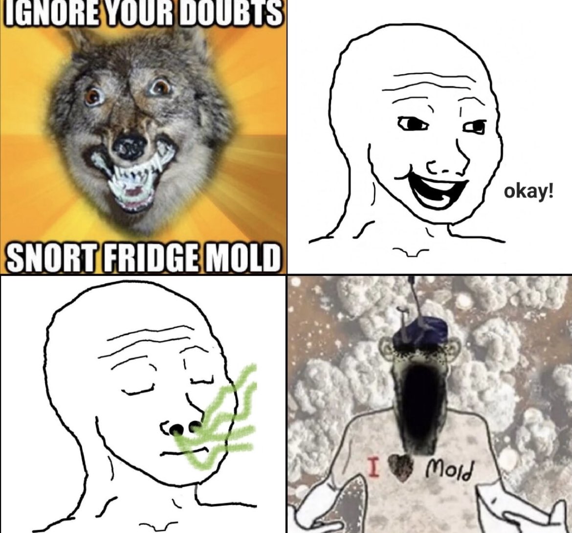 Fridge Mold Memes
