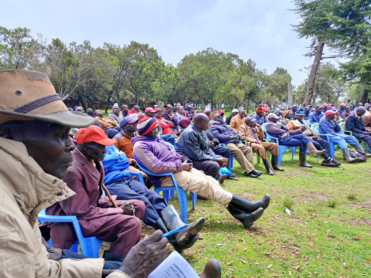 Home - Transformative Pathways