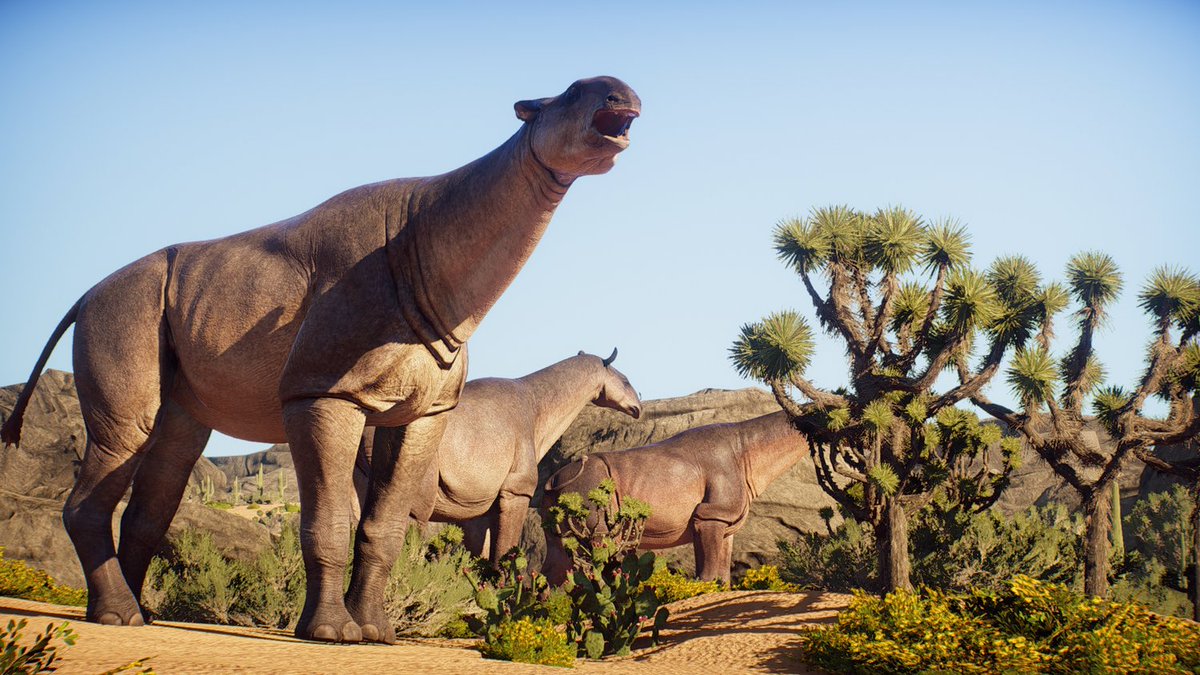 Indricotherium Vs Elephant