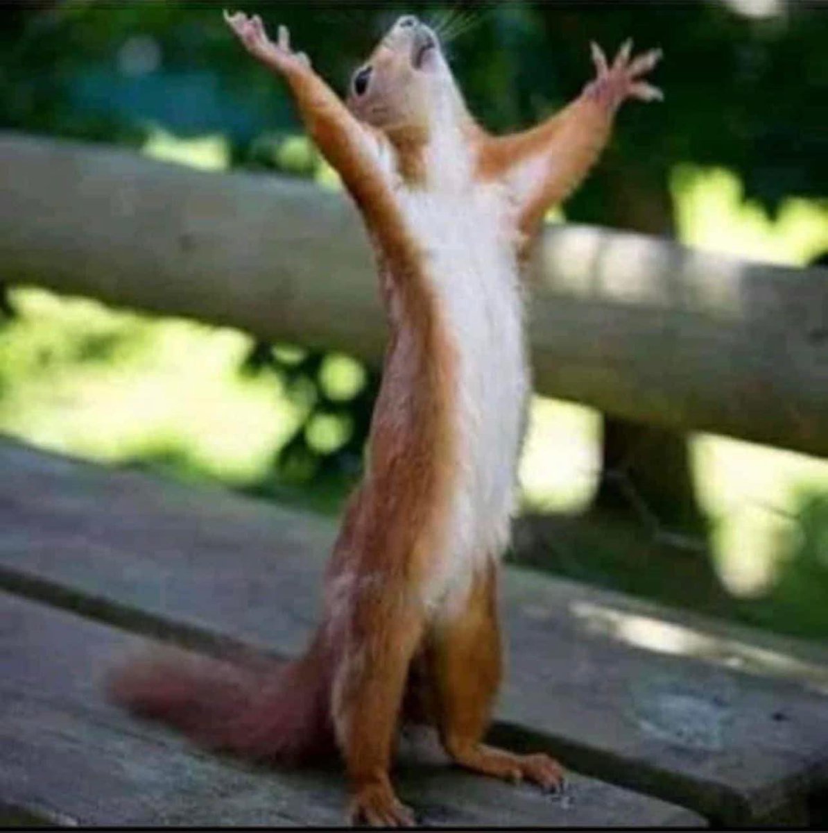 Spirit of too much money, I command you to attack me !🙏🙏 - Download ...