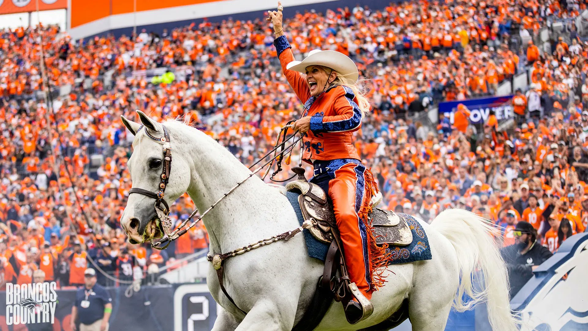 Angry Broncos Horse