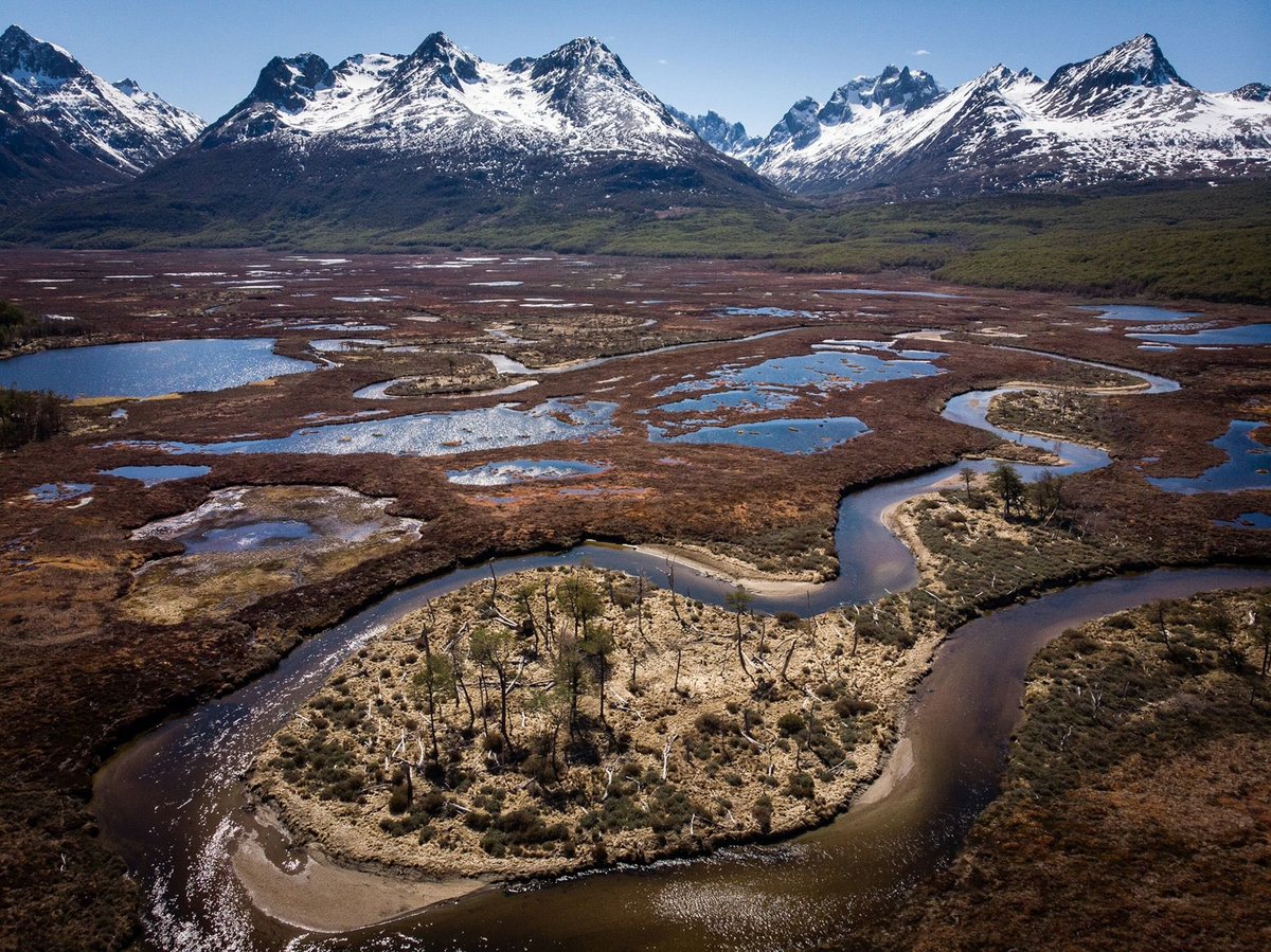 Thread by @Albertofm20 on Thread Reader App – Thread Reader App