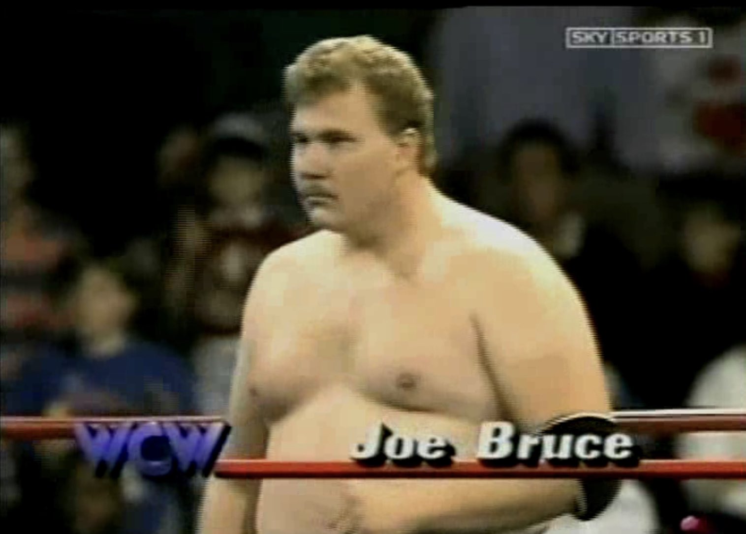 Joseph Bruce Luchador