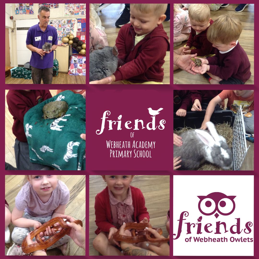 Webheath Academy | Learning, Creating and Growing Together