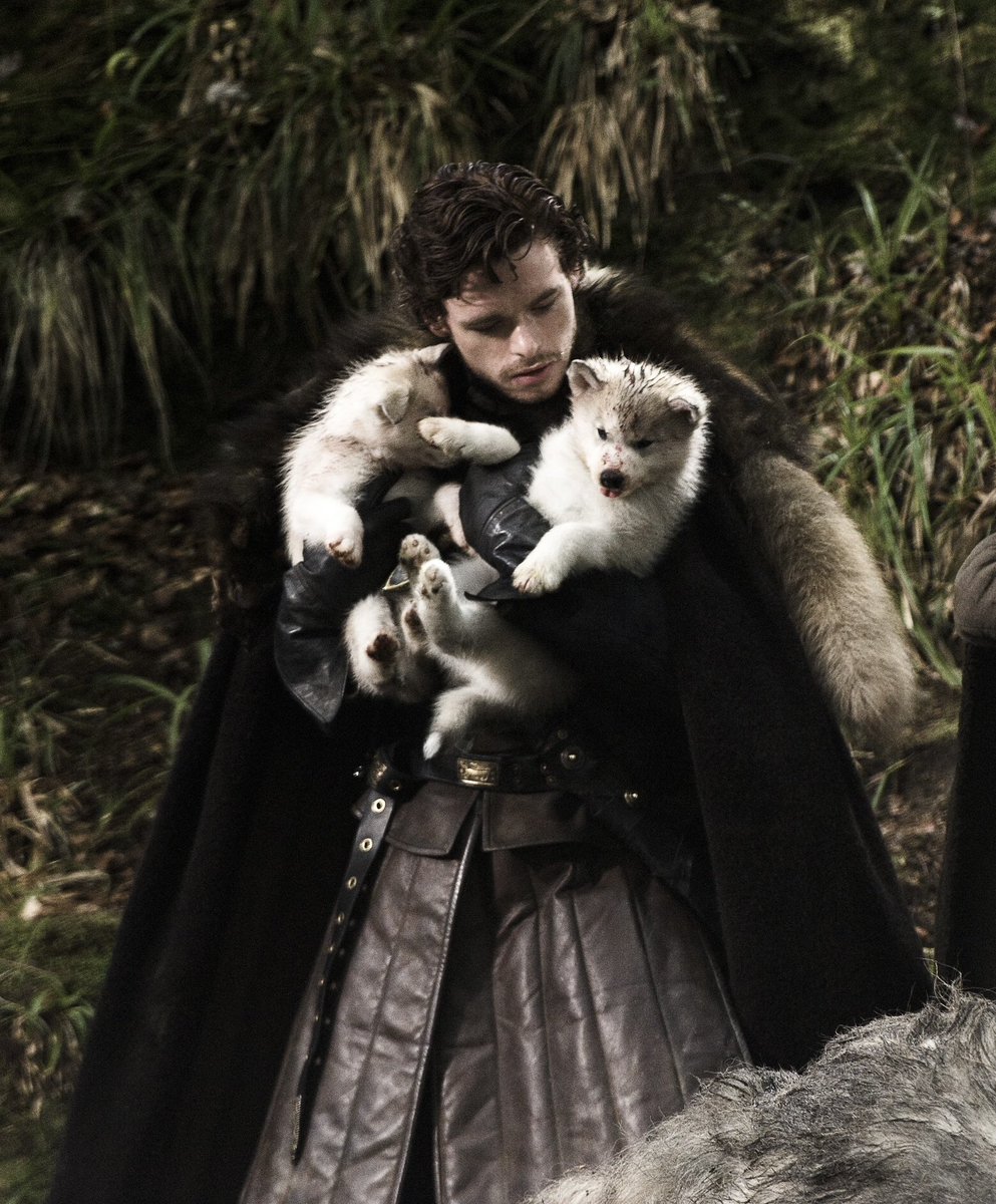 Robb Stark Grey Wind