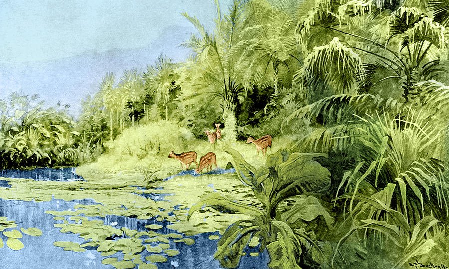 Eran Efrat's Threads – Thread Reader App