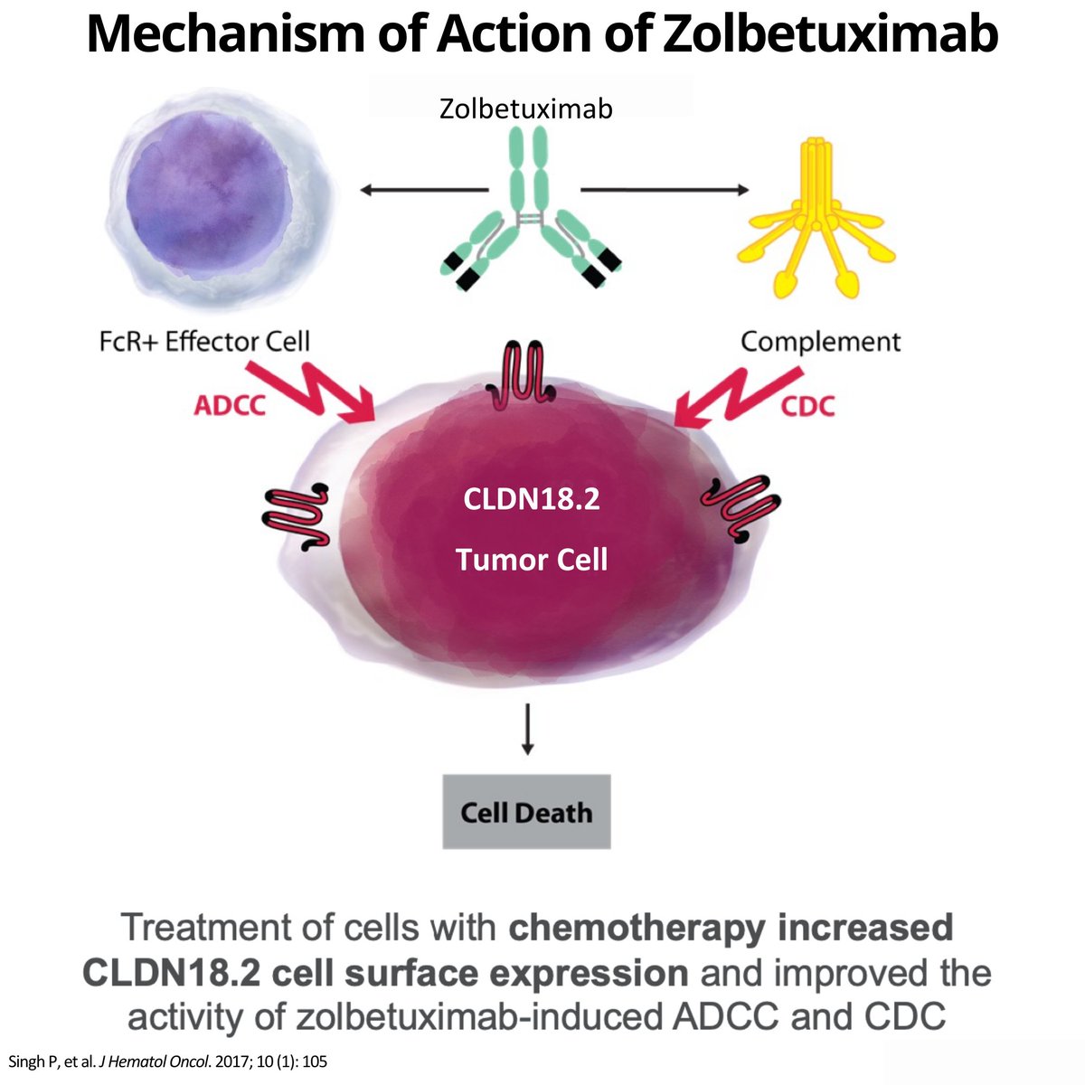 @TumorBoardTues 1/23 #TumorBoardTuesday #GastricCancer #OncTwitter ...