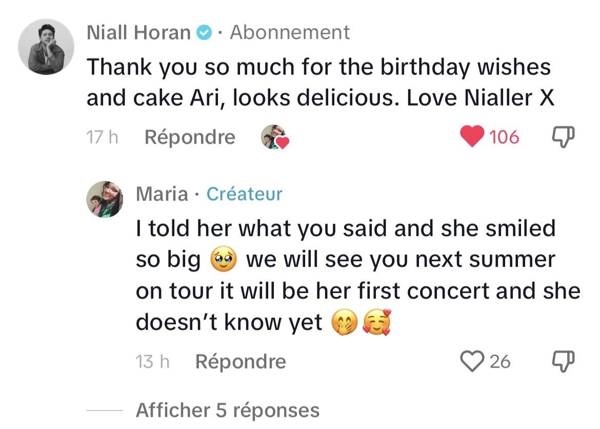 Mini Nialler