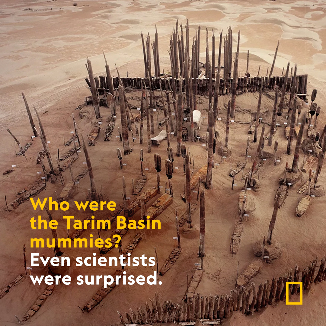 Tarim Basin People Expedition Magazine | Ancient Mummies Of The Tarim